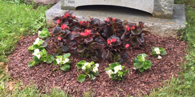 H.Memorial Day Begonia Planting with Begonia Border - Arlington ...